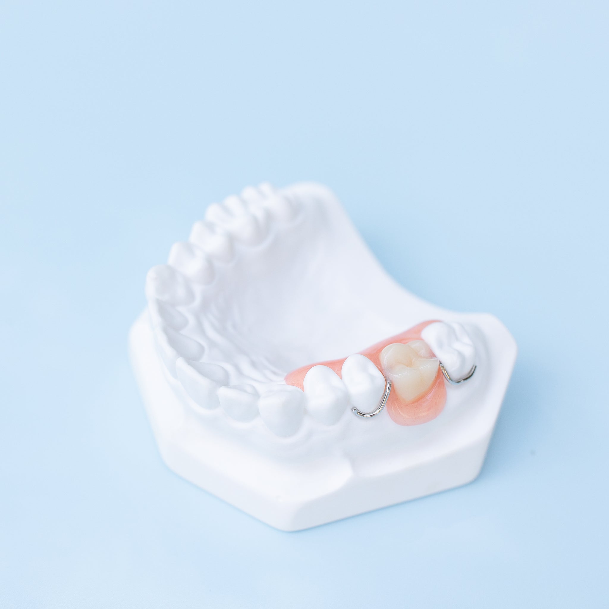 ACRYLIC FLIPPER – Dental Tech Direct